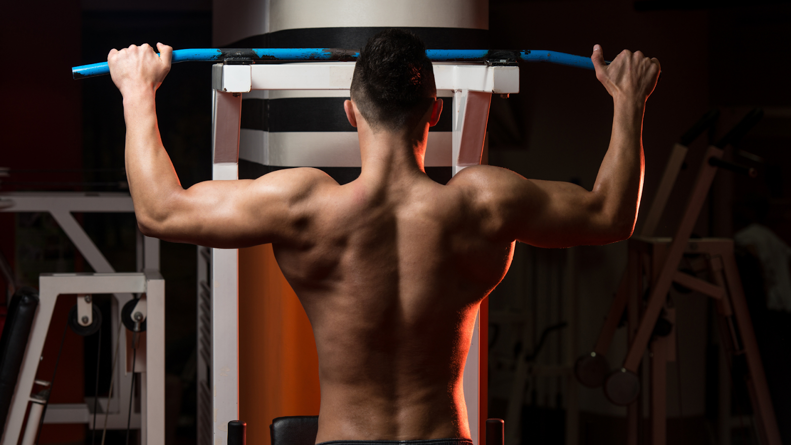 V-Shaped Back Workouts: Build Strength & Definition - Organic Muscle