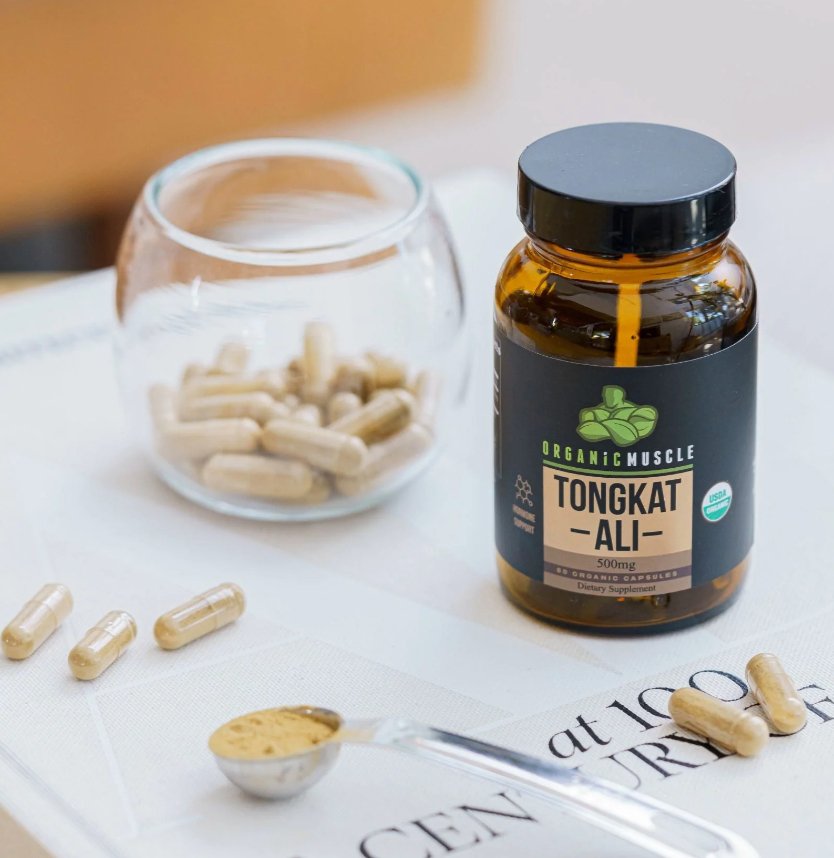 How Much Tongkat Ali Per Day Organic Muscle Fitness Supplements How Much Tongkat Ali Per Day Organic Muscle Fitness Supplements